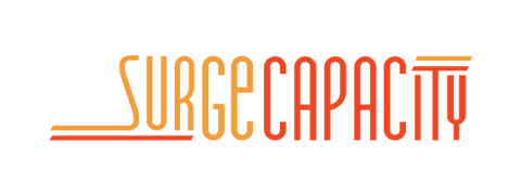 Surge Capacity | Technology Expense Management
